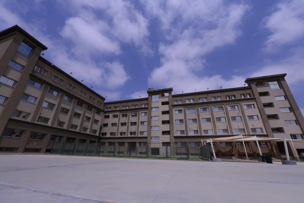 Profile & History | Egyptian Language School